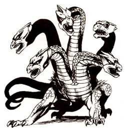 Types Of Hydra