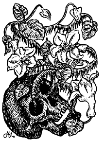 Yellow musk creeper | Forgotten Realms Wiki | Fandom