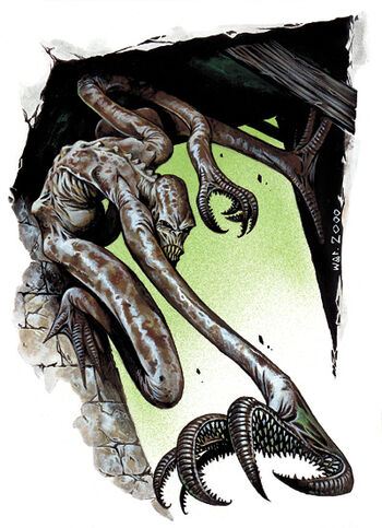 Choker | Forgotten Realms Wiki | Fandom