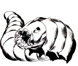 Rot grub | Forgotten Realms Wiki | Fandom