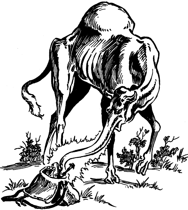 Disenchanter | Forgotten Realms Wiki | Fandom