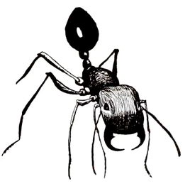 Giant ant | Forgotten Realms Wiki | Fandom