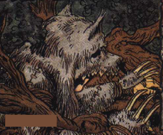 Rauthtor | Forgotten Realms Wiki | Fandom