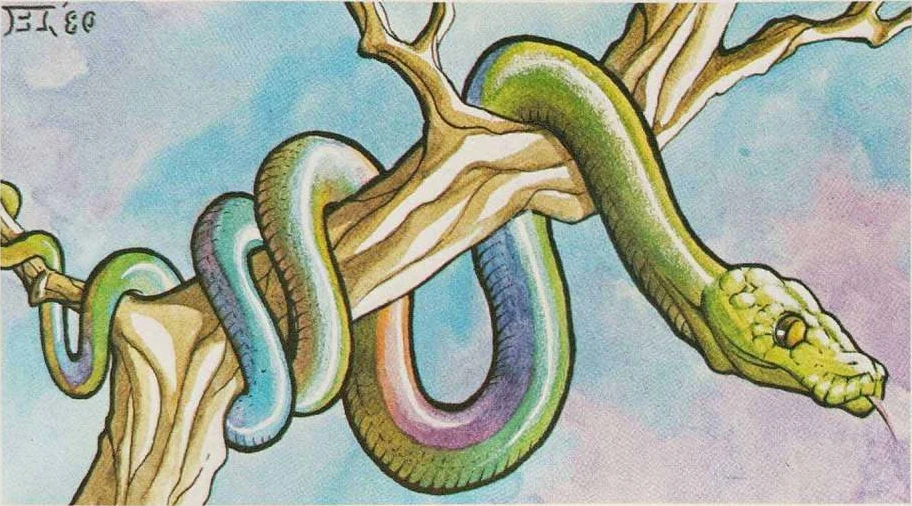 Giant constrictor snake | Forgotten Realms Wiki | Fandom