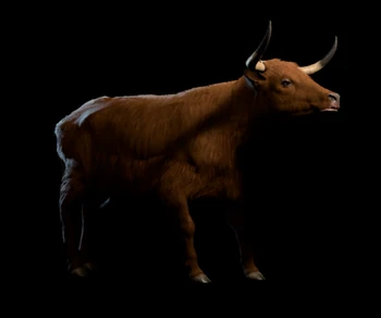 Ox | Forgotten Realms Wiki | Fandom