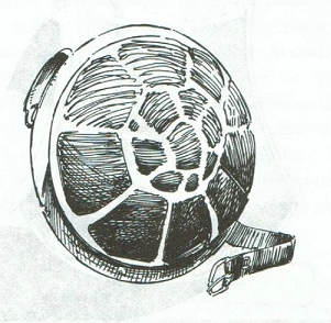 Tortoise shield | Forgotten Realms Wiki | Fandom