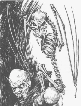 Bonebat | Forgotten Realms Wiki | Fandom