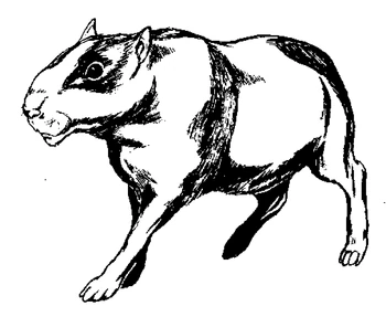 Capybara | Forgotten Realms Wiki | Fandom
