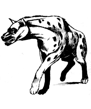 Hyena | Forgotten Realms Wiki | Fandom