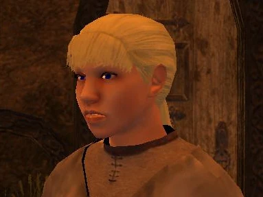 Alaine | Forgotten Realms Wiki | Fandom