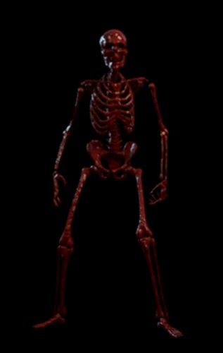 Bloodmarrow skeleton | Forgotten Realms Wiki | Fandom