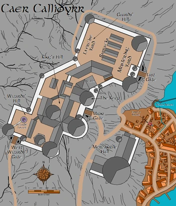 Caer Callidyrr | Forgotten Realms Wiki | Fandom