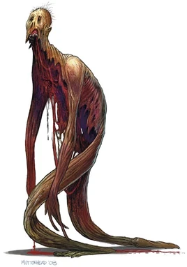 Forsaken shell | Forgotten Realms Wiki | Fandom