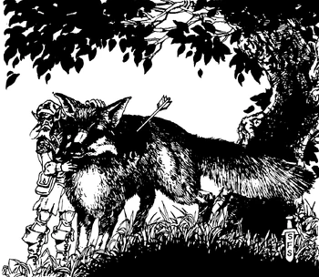 Fox | Forgotten Realms Wiki | Fandom