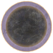 Shar | Forgotten Realms Wiki | Fandom