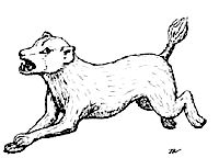 Blink dog | Forgotten Realms Wiki | Fandom