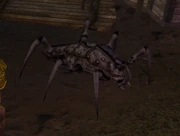 Clockroach | Forgotten Realms Wiki | Fandom