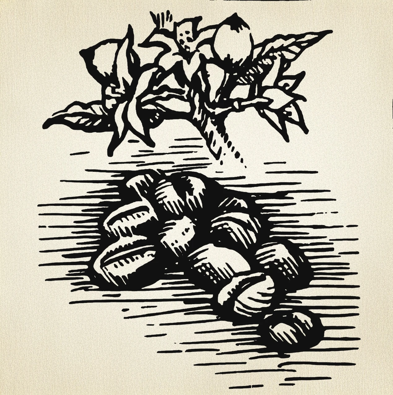 Kaeth | Forgotten Realms Wiki | Fandom