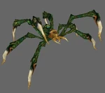 Aranea | Forgotten Realms Wiki | Fandom