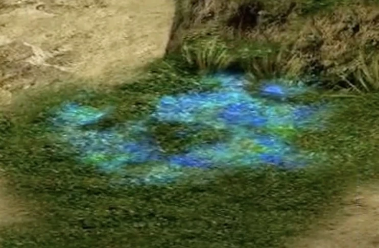 Blueglow moss | Forgotten Realms Wiki | Fandom