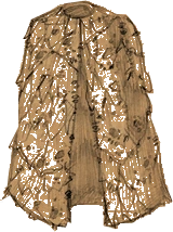 Cloak of bravery (cloak) | Forgotten Realms Wiki | Fandom