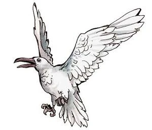 Silver Ravens | Forgotten Realms Wiki | Fandom