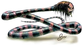 Spirit naga | Forgotten Realms Wiki | Fandom