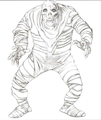 Adherer | Forgotten Realms Wiki | Fandom