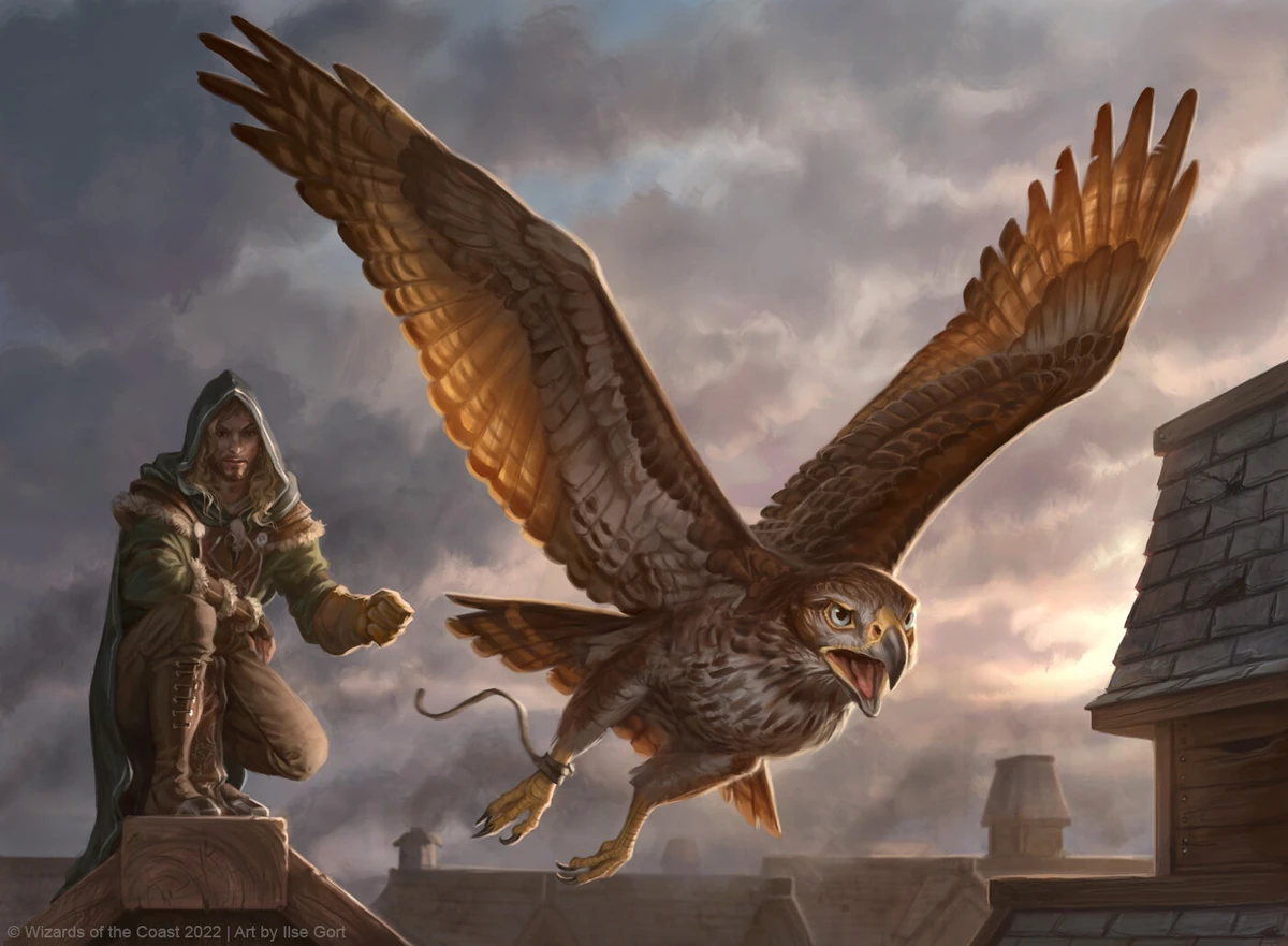 Hawk | Forgotten Realms Wiki | Fandom