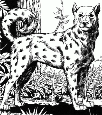 Cooshee | Forgotten Realms Wiki | Fandom