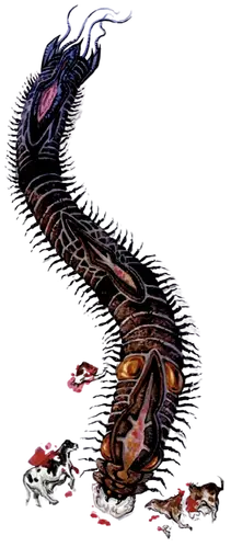 Megapede | Forgotten Realms Wiki | Fandom