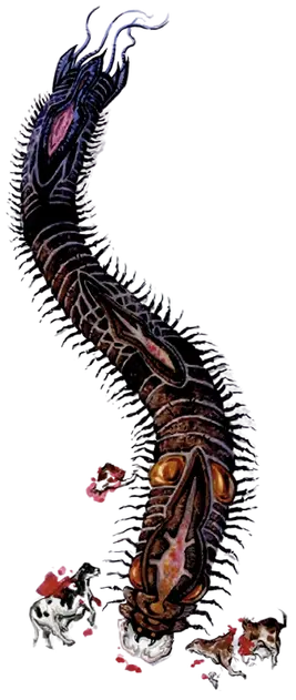 Megapede | Forgotten Realms Wiki | Fandom