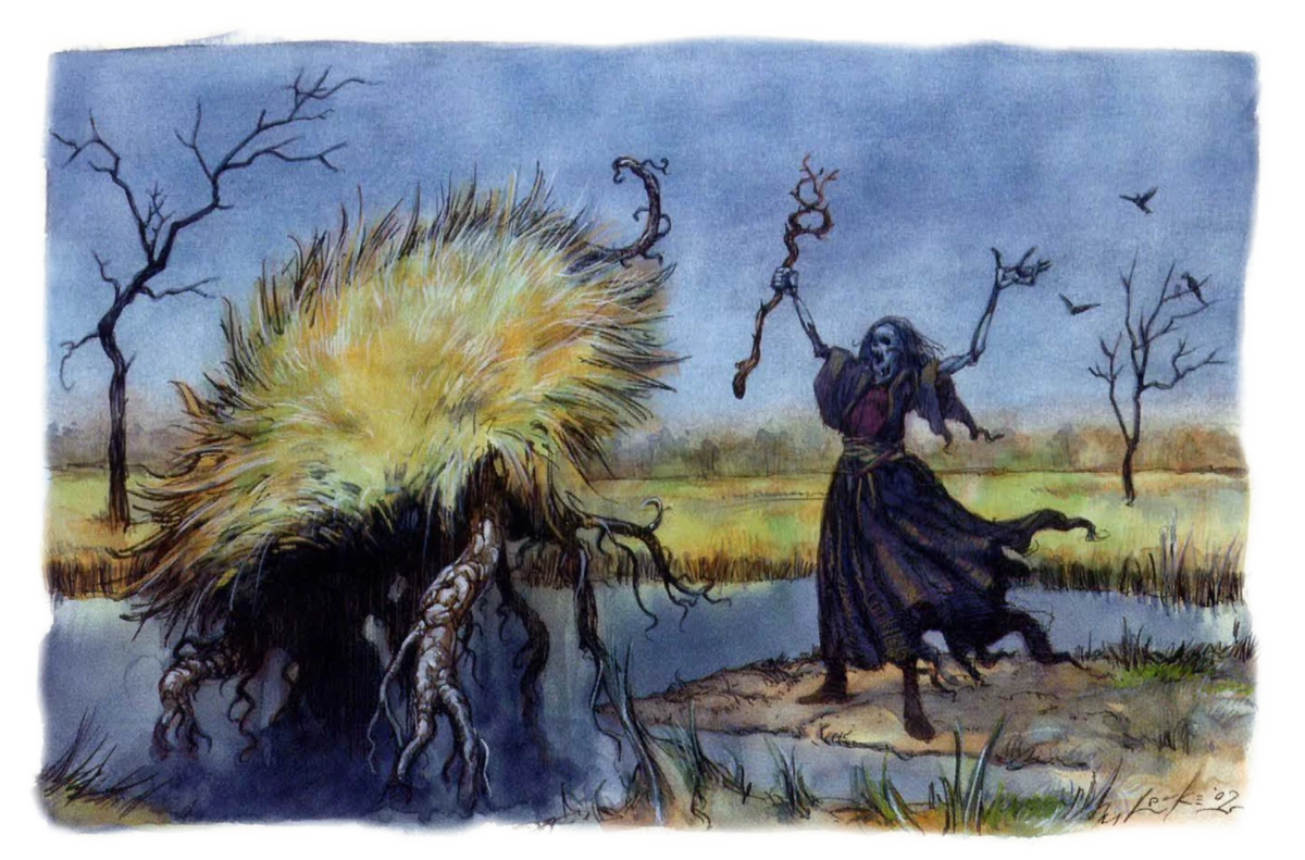 Umber Marshes | Forgotten Realms Wiki | Fandom