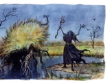 Category:Marshes | Forgotten Realms Wiki | Fandom