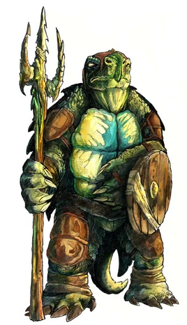 Tortle | Forgotten Realms Wiki | Fandom