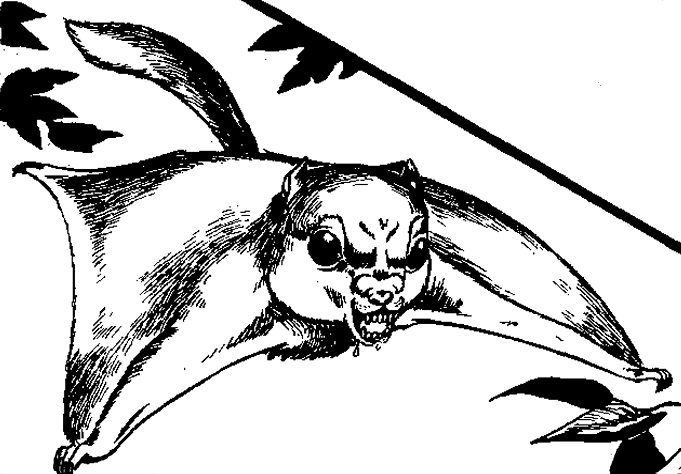 Flying squirrel | Forgotten Realms Wiki | Fandom