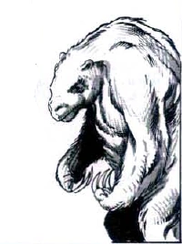 Megatherium | Forgotten Realms Wiki | Fandom
