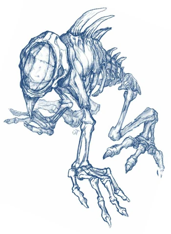 Skeletal intellect devourer | Forgotten Realms Wiki | Fandom