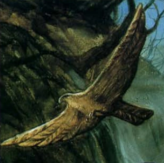 Hawk | Forgotten Realms Wiki | Fandom
