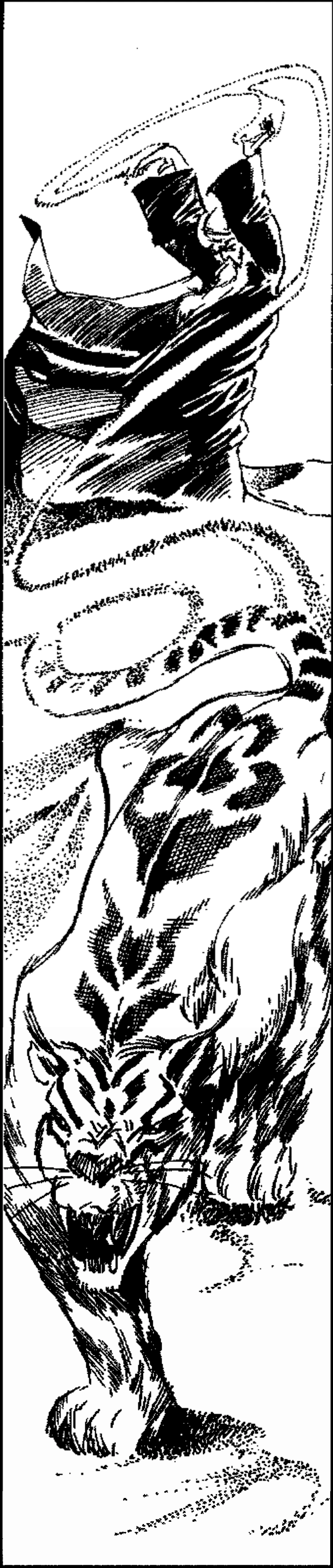 Conjure sand lion | Forgotten Realms Wiki | Fandom