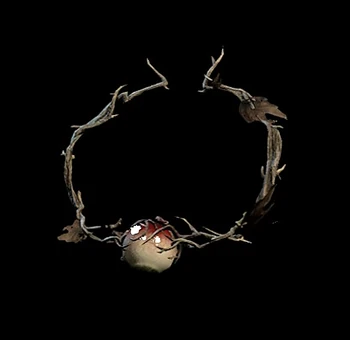 Ever-seeing eye | Forgotten Realms Wiki | Fandom