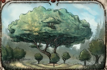 5e Running On Tree Branches Best Sale | emergencydentistry.com