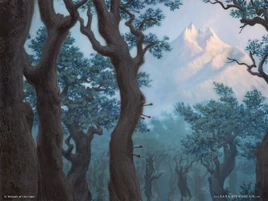 Neverwinter Wood | Forgotten Realms Wiki | Fandom