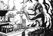 Parrot | Forgotten Realms Wiki | Fandom