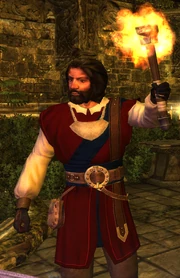 Volothamp Geddarm | Forgotten Realms Wiki | Fandom