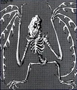 Bonebat | Forgotten Realms Wiki | Fandom