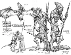 do lizardfolk have darkvision