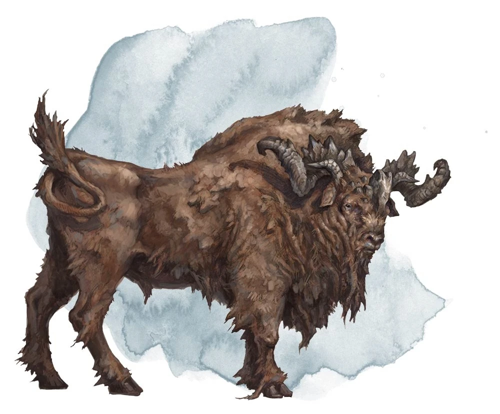 Aurochs | Forgotten Realms Wiki | Fandom