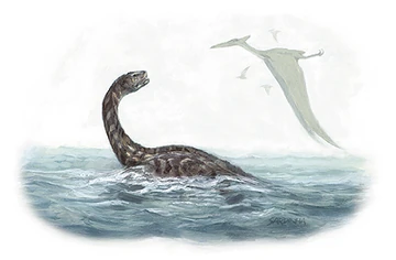 elasmosaurus diet