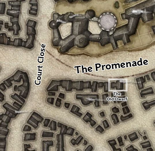 The Old Dwarf | Forgotten Realms Wiki | Fandom